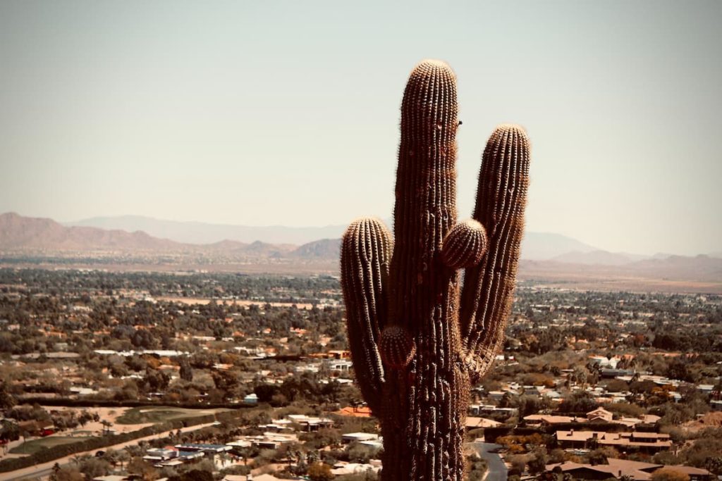 Qué hacer en Phoenix: lugares emblemáticos de la capital de Arizona