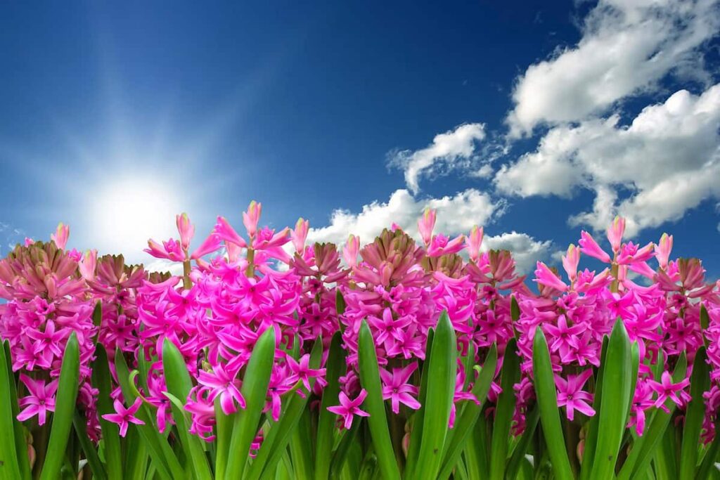 Cuándo son las vacaciones de primavera: fechas y destinos